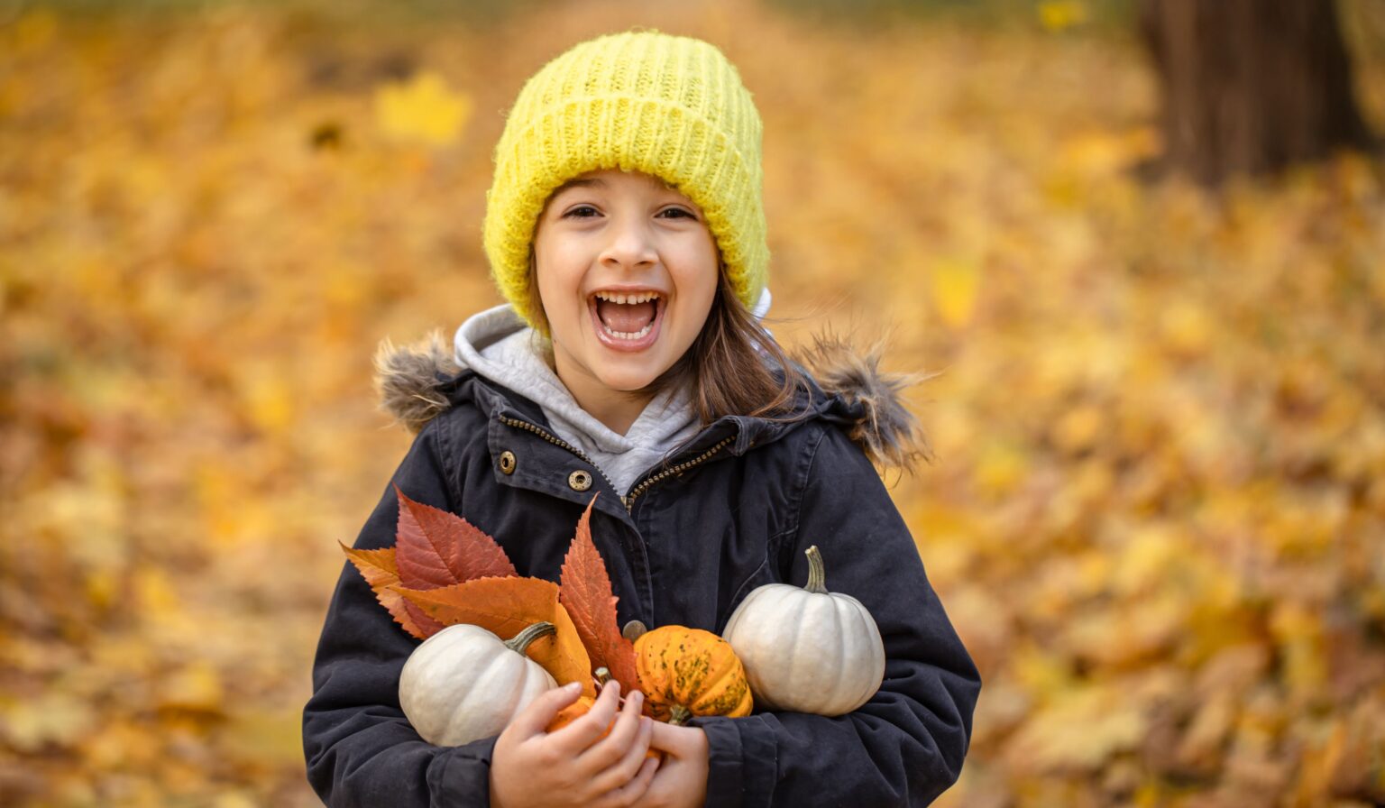 Fall Speech and Language Activities - Pinwheel Speech Resources